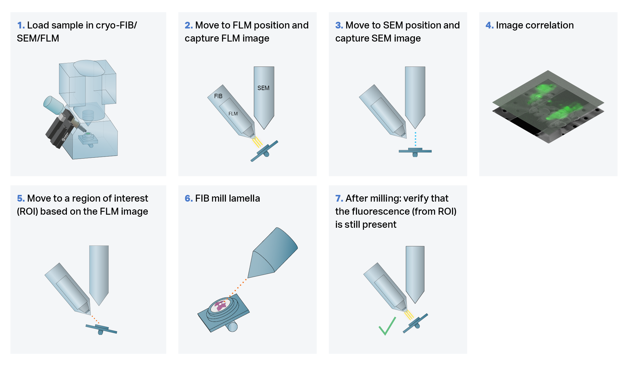 Reduce your lamella preparation workflow to 7 steps with METEOR